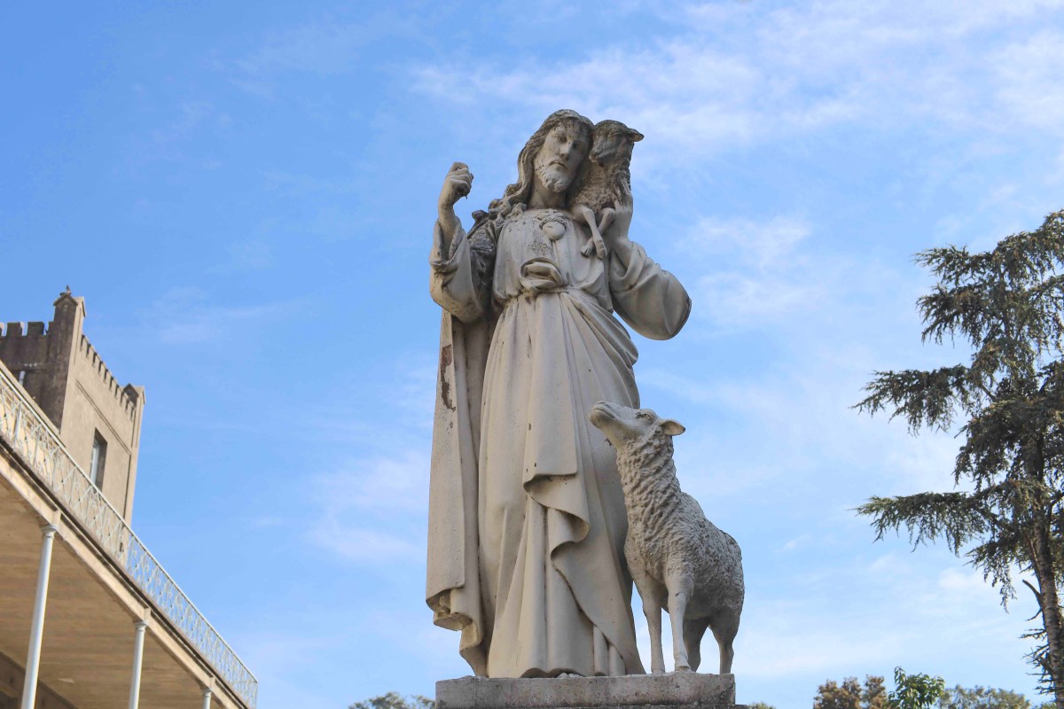 À la Suite du Christ, Vrai et Bon Berger – SVD Congo